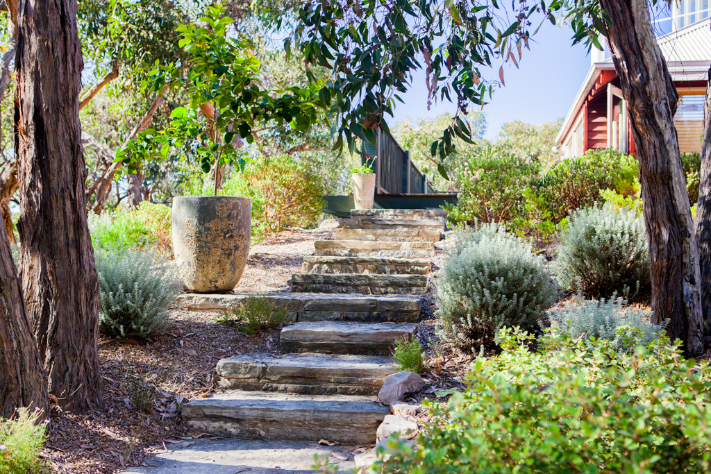 bush garden - Ocean Road Landscaping in Geelong & Surf Coast