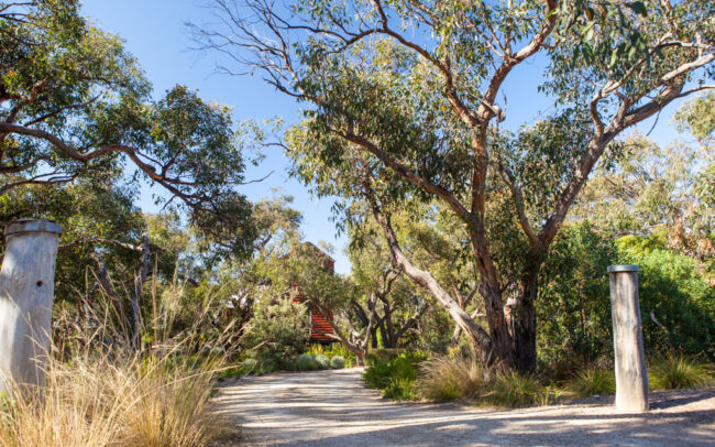 bush garden - Ocean Road Landscaping in Geelong & Surf Coast