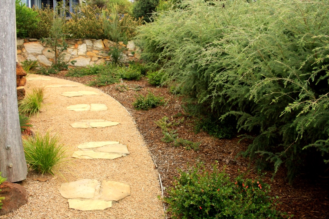 cliff top garden - Ocean Road Landscaping in Geelong & Surf Coast