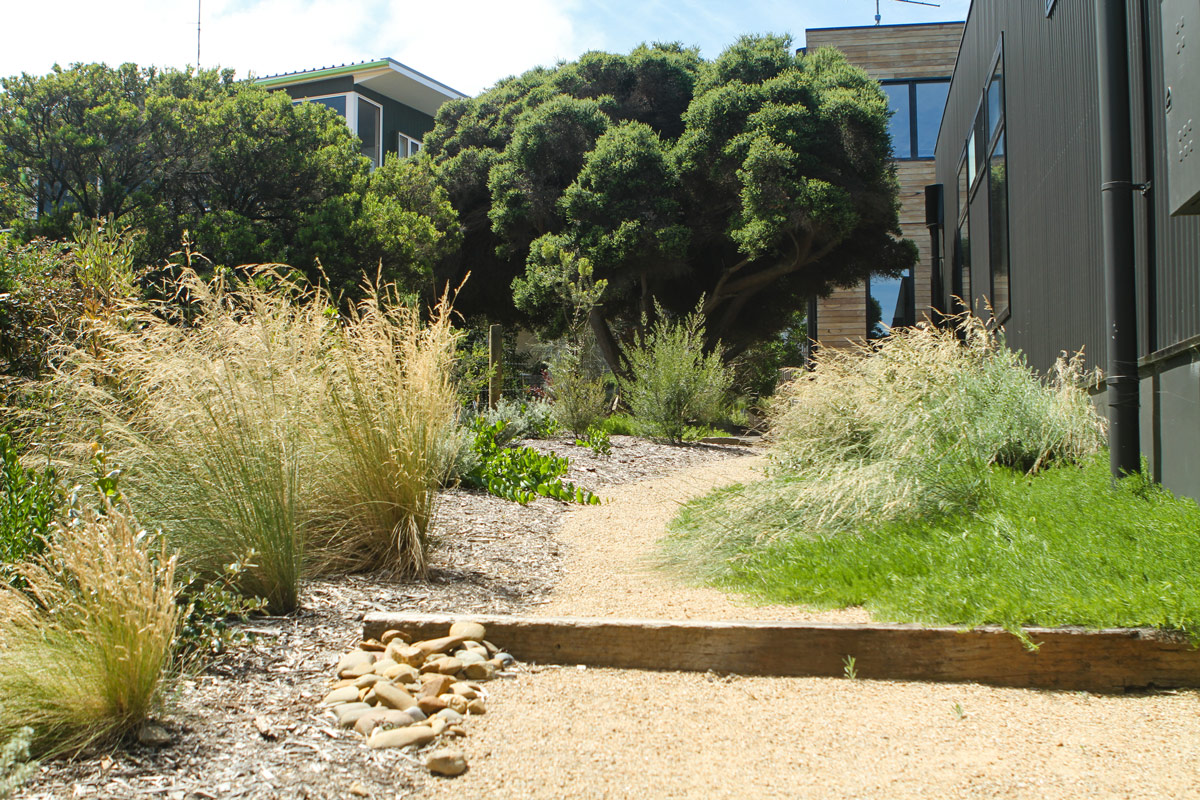 dry coastal landscape - Ocean Road Landscaping in Geelong & Surf Coast