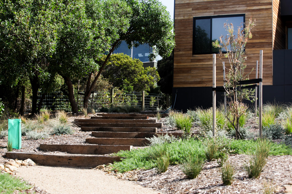 dry coastal landscape - Ocean Road Landscaping in Geelong & Surf Coast