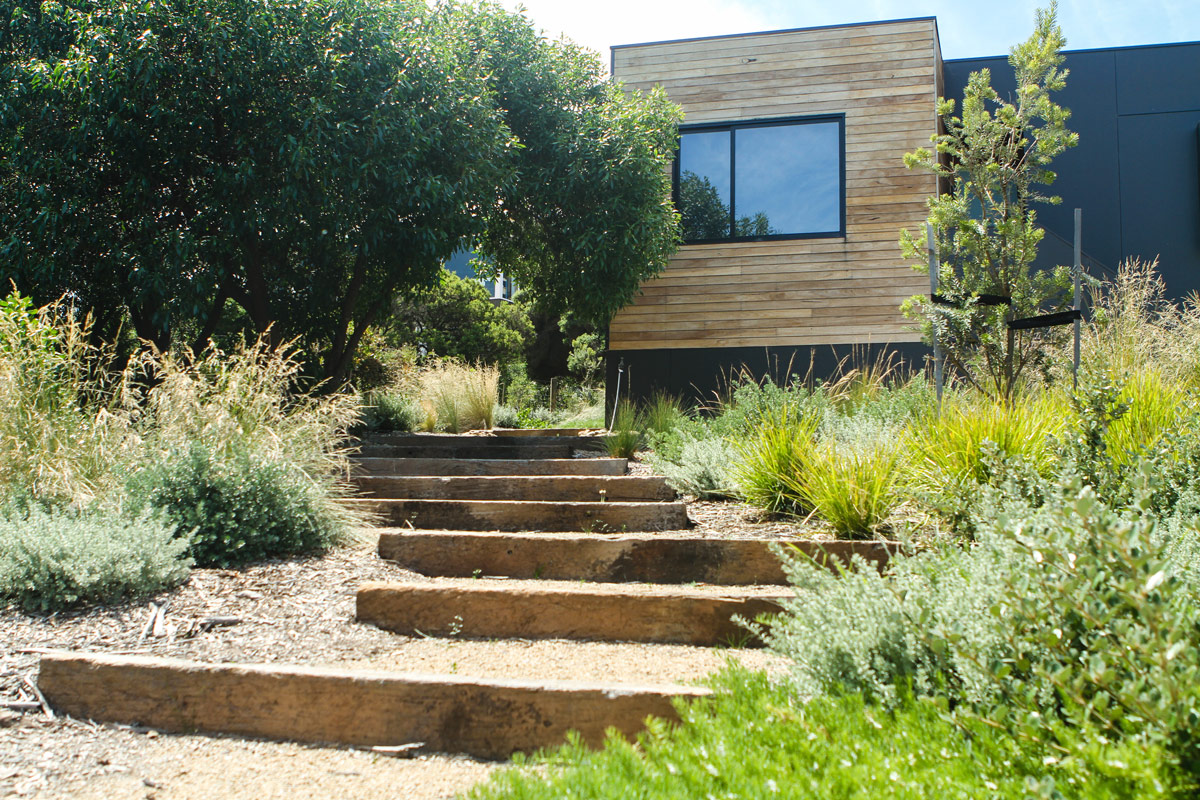 dry coastal landscape - Ocean Road Landscaping in Geelong & Surf Coast
