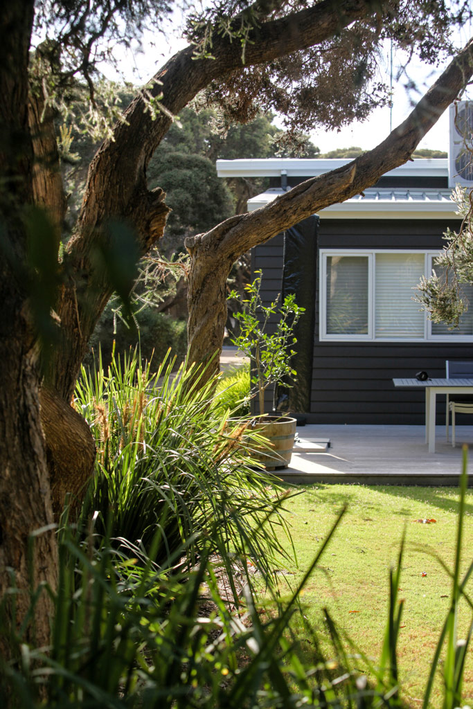 beach house garden - Ocean Road Landscaping in Geelong & Surf Coast