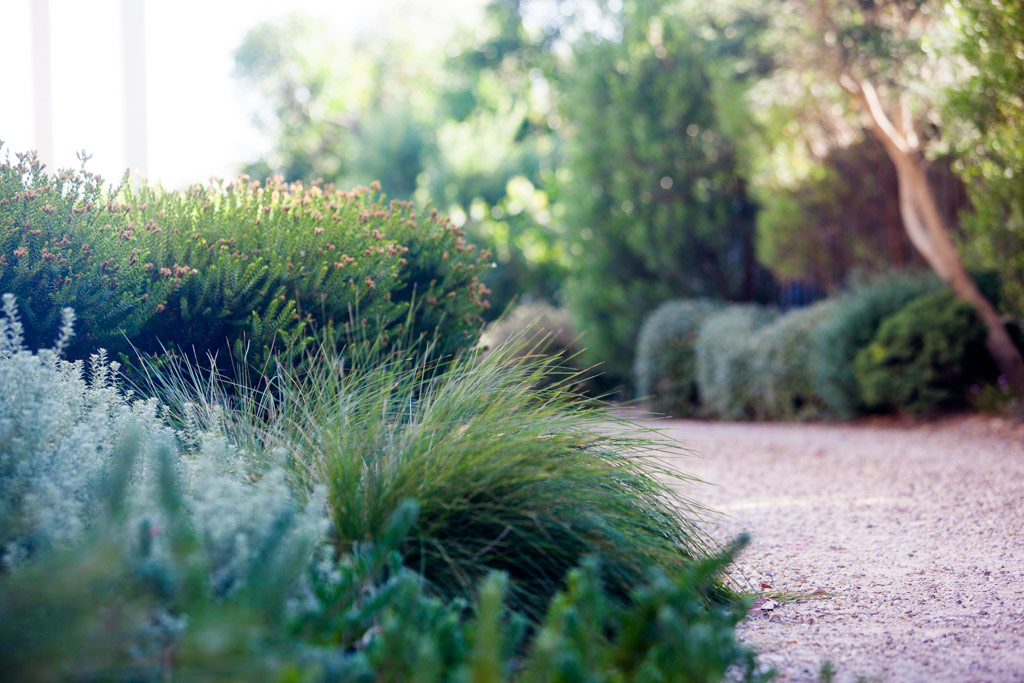 anglesea landscape - Ocean Road Landscaping in Geelong & Surf Coast