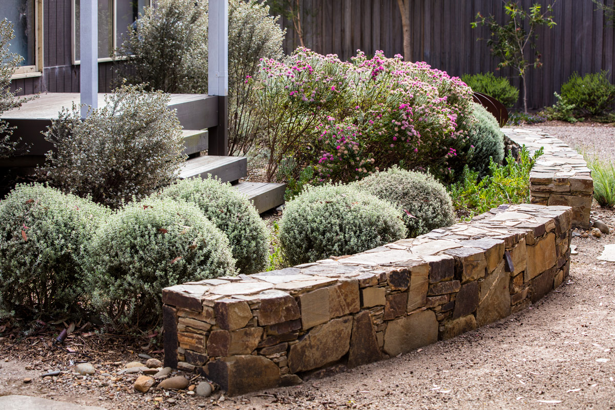anglesea landscape - Ocean Road Landscaping in Geelong & Surf Coast