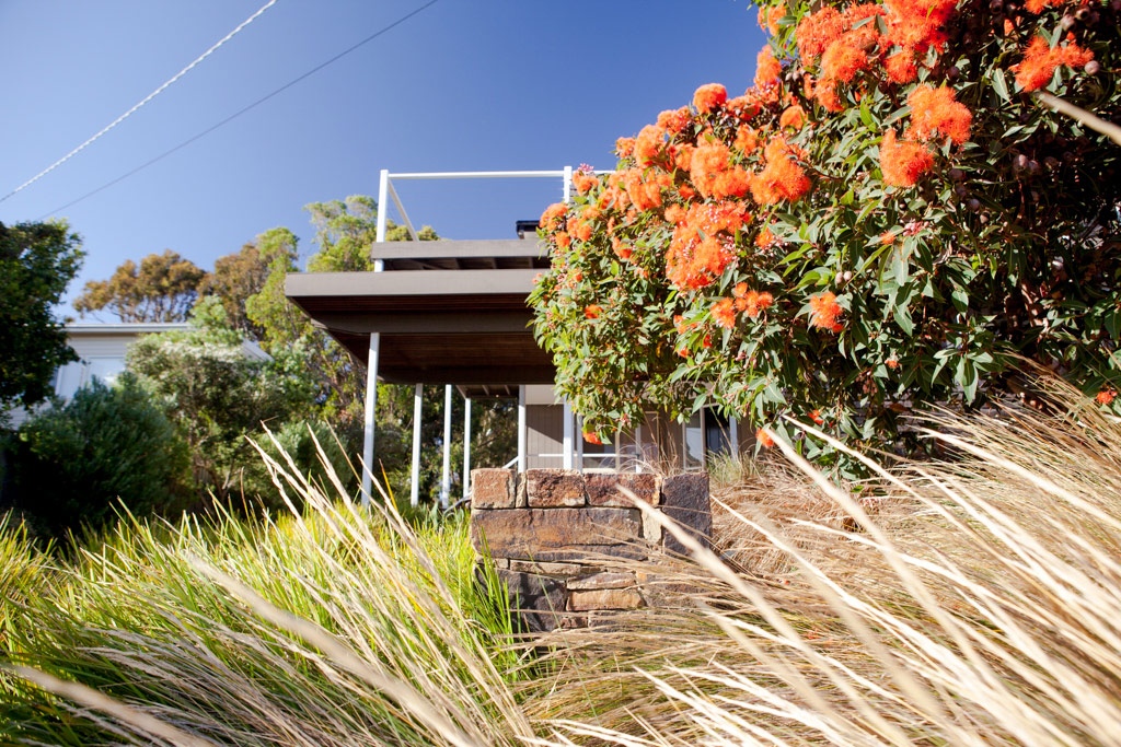 anglesea landscape - Ocean Road Landscaping in Geelong & Surf Coast