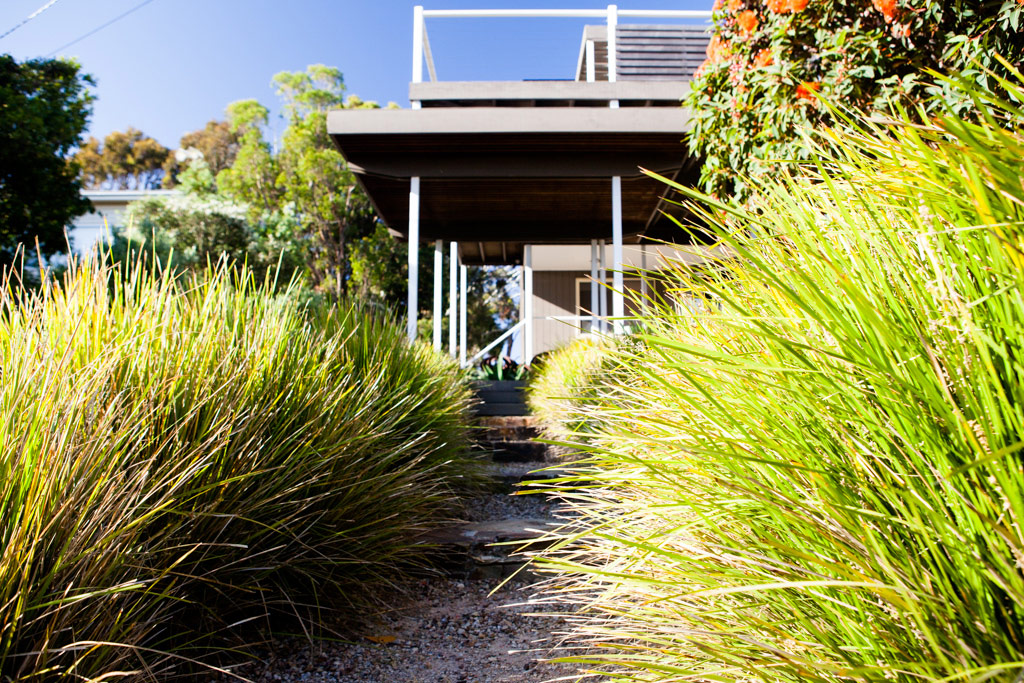 anglesea landscape - Ocean Road Landscaping in Geelong & Surf Coast