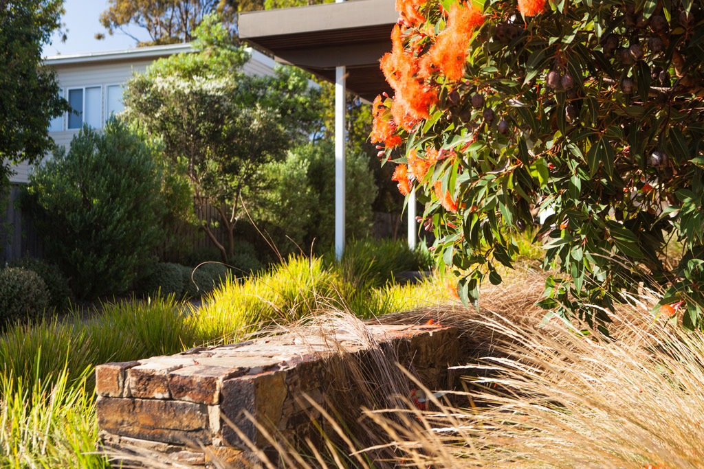 anglesea landscape - Ocean Road Landscaping in Geelong & Surf Coast