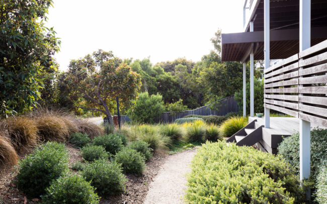 anglesea landscape - Ocean Road Landscaping in Geelong & Surf Coast