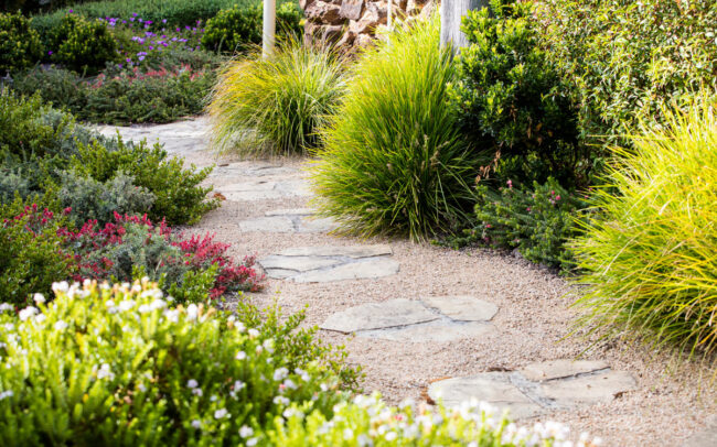 cliff top garden - Ocean Road Landscaping in Geelong & Surf Coast
