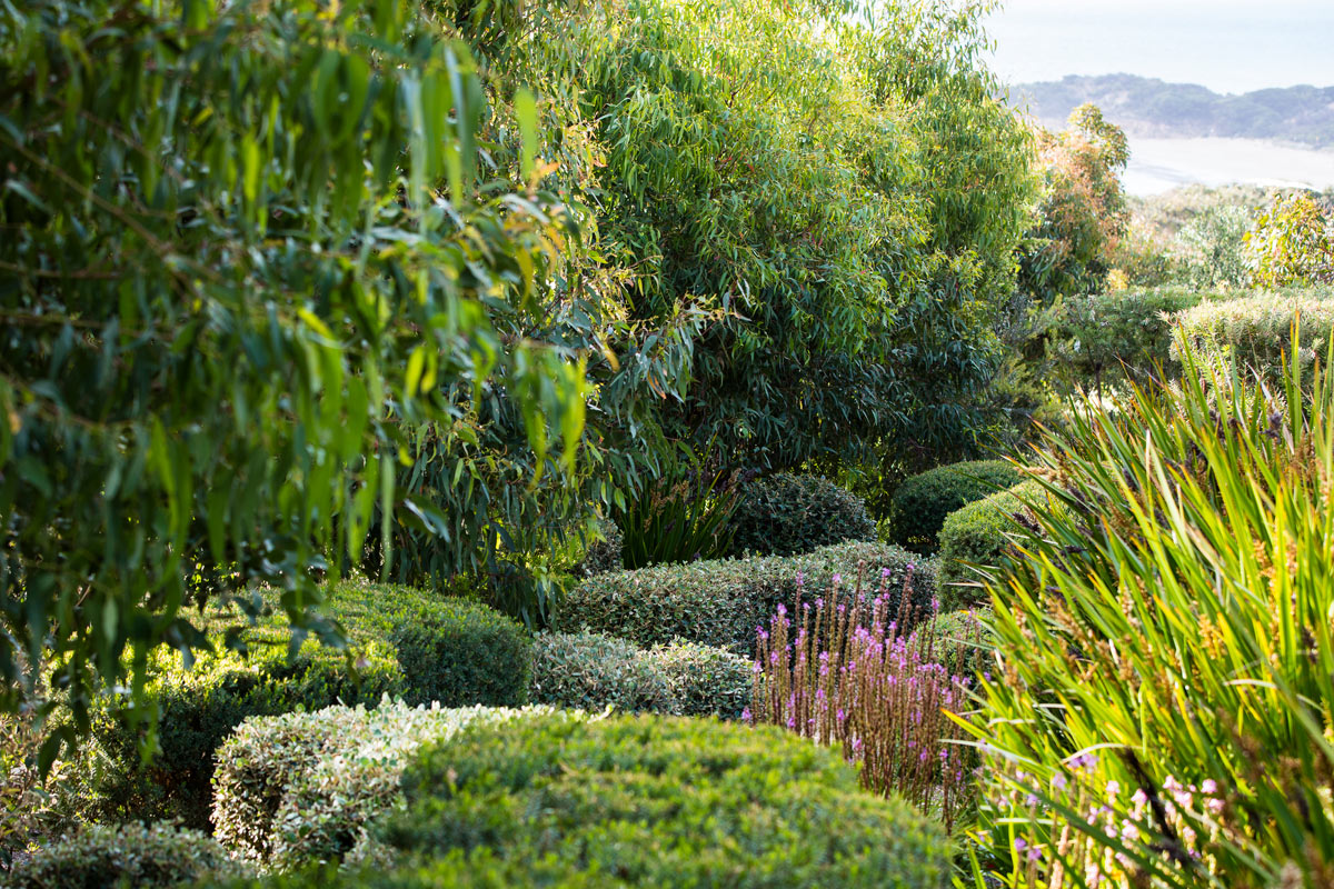 cliff top garden - Ocean Road Landscaping in Geelong & Surf Coast