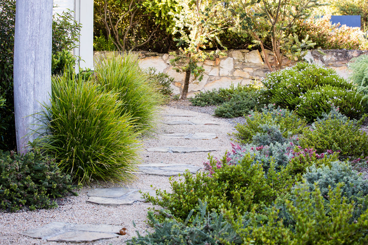 cliff top garden - Ocean Road Landscaping in Geelong & Surf Coast