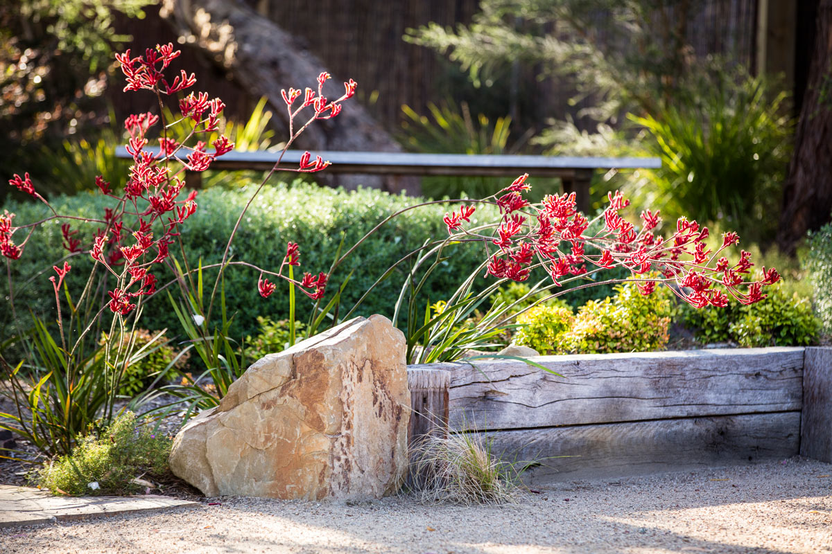cliff top garden - Ocean Road Landscaping in Geelong & Surf Coast