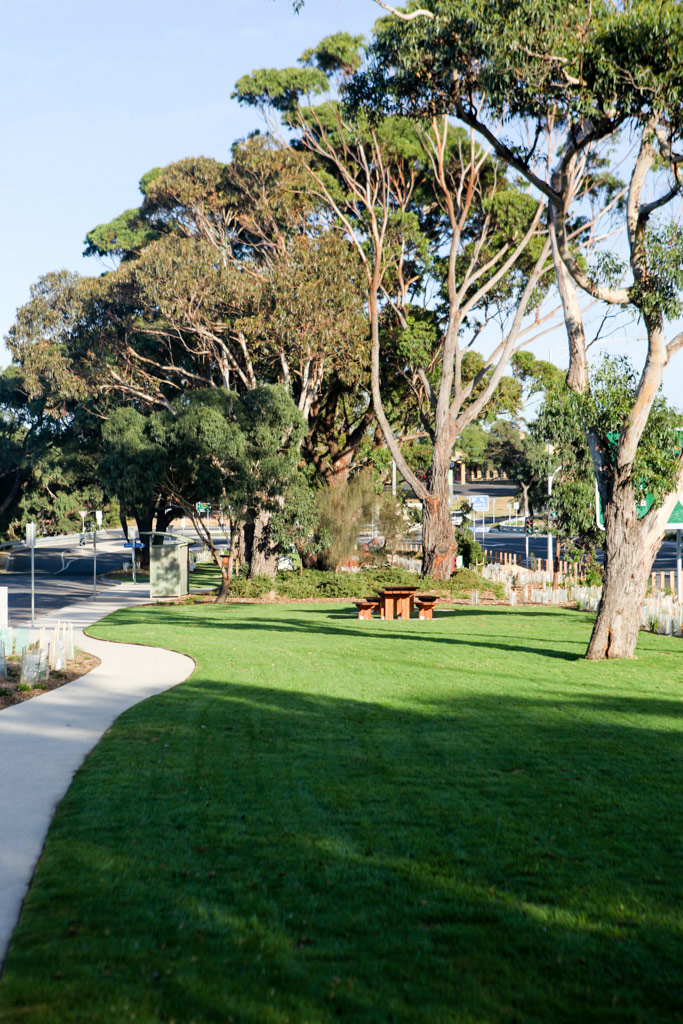 Anglesea Cameron Park- Vic Roads landscape - Ocean Road Landscaping in ...